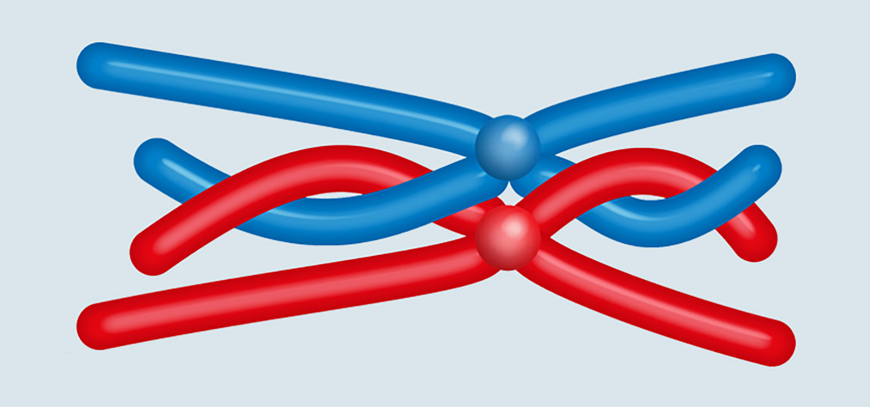 Crossing Over Diagram