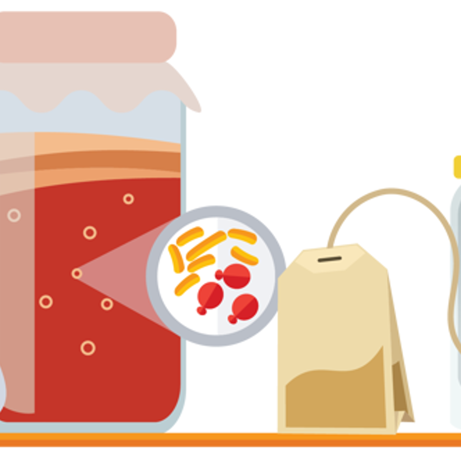 Making with Microbes - The Tech Interactive