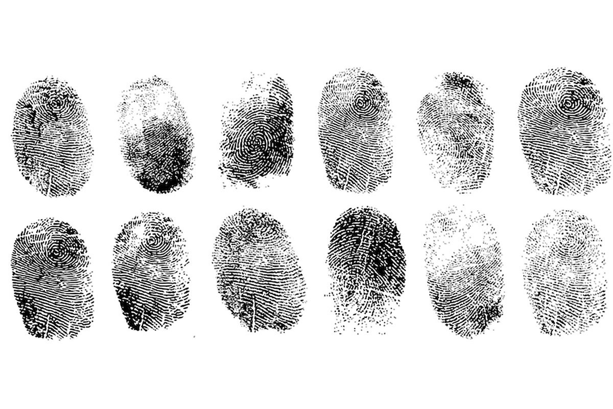 4 Main Types Of Fingerprints